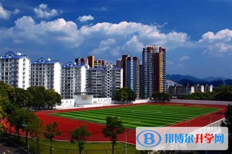 湛江中考特长生分数线2022参考