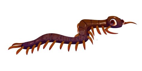 Cartoon Funny Centipede Insect Pest Character Stock Vector