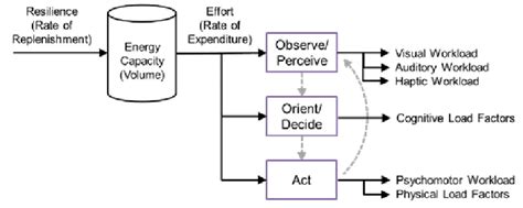 A Human Performance Framework Representing An Individuals Energy