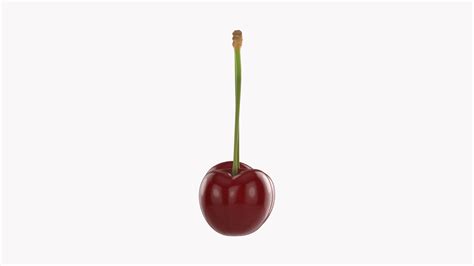 3d Model Cherry Double Turbosquid 1793978