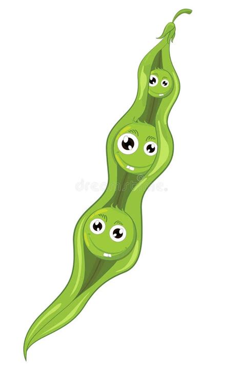 Green Peas Illustration Cartoon Stock Illustration Illustration Of