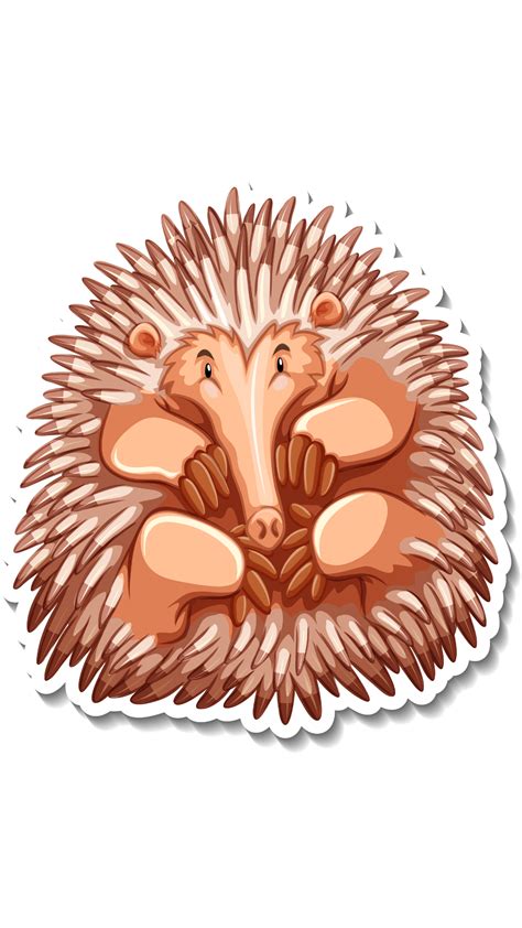 Echidnas Recorded Communicating For First Time Abc News
