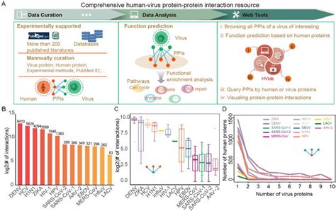 Comprehensive Characterization Of Human Virus Protein Protein