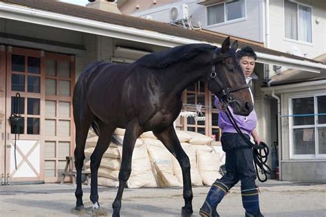 【ホープフルs】センチュリボンド状態文句なし！ 武豊jra平地gⅠ完全制覇だ サンスポzbat