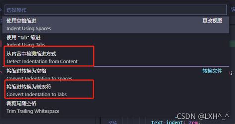Vscode的缩进问题vscode显示缩进符 Csdn博客
