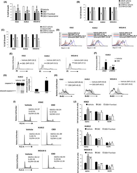 Cbd Reduces Cell Viability In A Trpv2‐dependent Manner A Cell