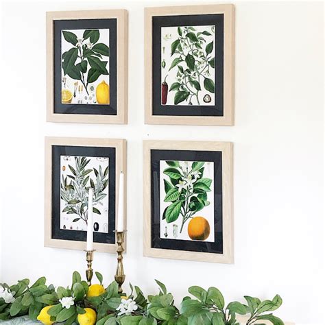 Choosing Colored Picture Frame Mats Frame It Easy