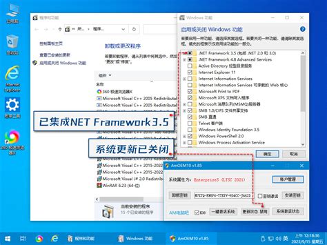 Amwin精简优化版系统win10 Ltsc2021 And Win10 Ltsc2019 2024 3 14 Amwin系统