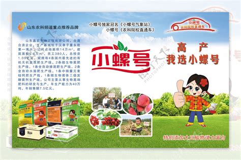 小螺号图片素材 编号16846336 图行天下