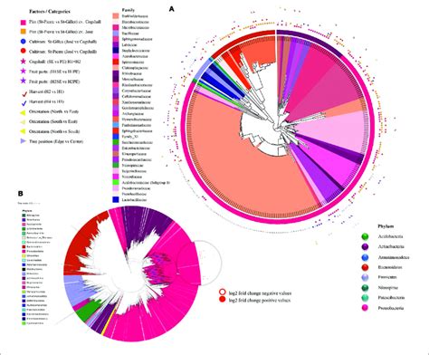 Differential Abundance Analysis Deseq2 Applied To Different
