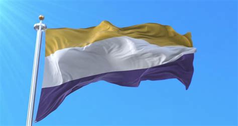 Womens Suffrage Flag American Suffrage Movement Loop 75734385 Stock