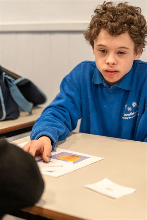 About Us Snowflake School