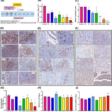 Effects Of Targeting The Hgf C Met Pathway ± Gemcitabine In Vivo A