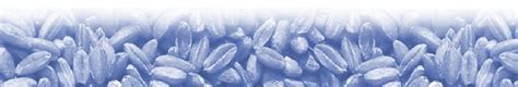 Bse Bulk Solids Engineering Linkedin