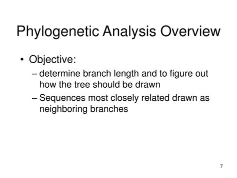Ppt Phylogenetic Analysis Powerpoint Presentation Free Download Id