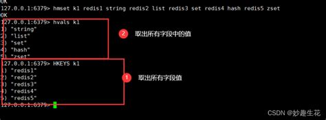 Redis数据类型概念 底层redisutilhset Csdn博客