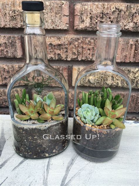 Glass Bottles Upcycled Into Planters Lovely Little Succulents Add The