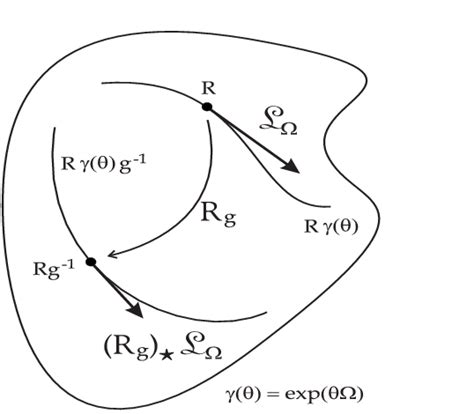 Right Translation Rg Of A Left Invariant Vector Field L Ω Download Scientific Diagram