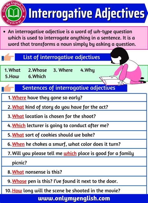 Interrogative Adjectives Definition Examples And List
