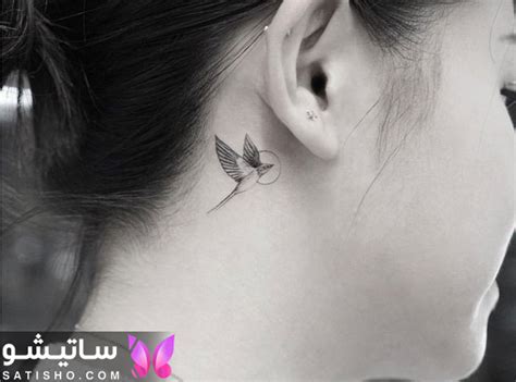 تاتو پرستو با طرح های خاص و زیبا معنی تاتو پرستو ساتیشو