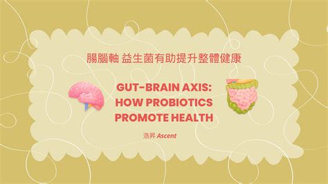 Gut Brain Axis How Probiotics Promote Health Ascent Ascent