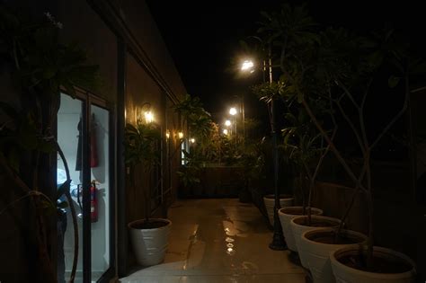 Gallery Trinay Orthopedic
