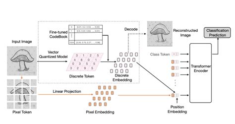 Paper In ICLR On Discrete Representations Strengthen Vision Transformer Robustness