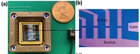 Biochemical Sensing Burch Group