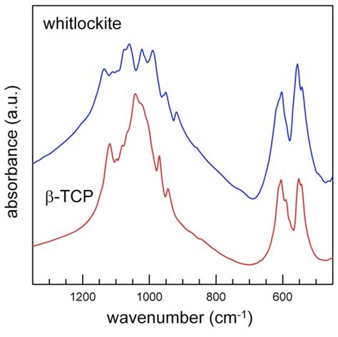 Powder Ftir Spectra Of Whitlockite Blue And Tcp Red Sample From