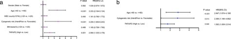 Tnfaip2 Overexpression As An Independent Prognostic Factor In Aml