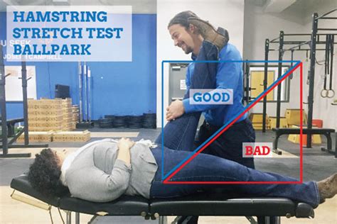 Know Your Numbers The Hamstring Stretch Test
