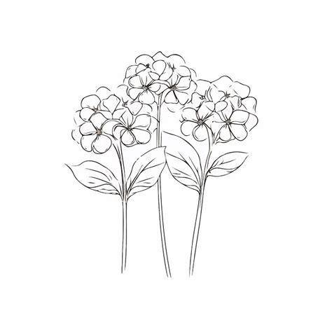 Premium Vector Beautifully Crafted Hydrangea Vector Artwork