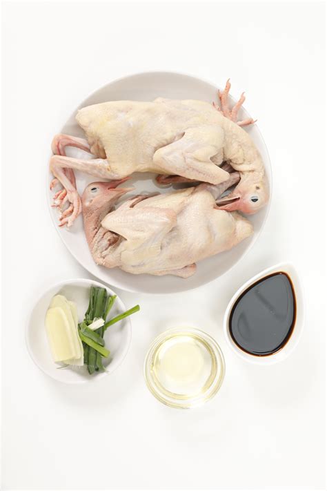 脆皮爆汁红烧乳鸽怎么做 脆皮爆汁红烧乳鸽的做法 豆果美食