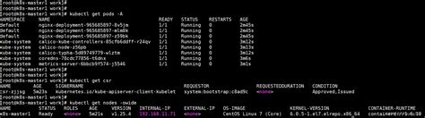 Kubernetes V125 搭建单节点集群用于debug K8s源码libseccomp安装包 Csdn博客