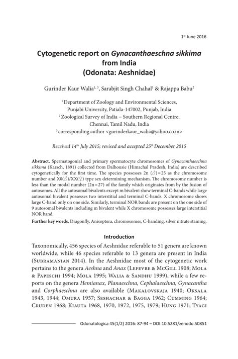 Pdf Cytogenetic Report On Gynacanthaeschna Sikkima From India Odonata Aeshnidae