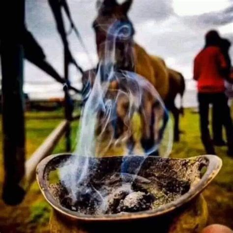 Малчин залуу Г Ганхүрэл