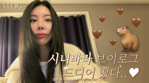 Vlog 30대 싱글라이프 일상브이로그 이렇게 시작해볼까요🖤 Youtube