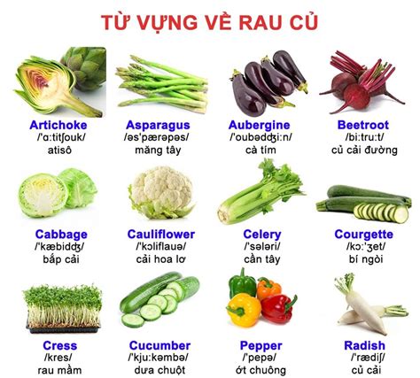 Dấu Trong Tiếng Anh Là Gì Hướng Dẫn Sử Dụng Chi Tiết