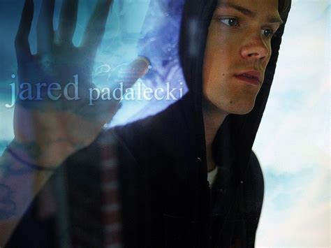 Jared Padalecki Wallpapers Wallpaper Cave