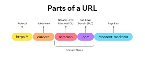 Networking Dns Tcpip Webdevelopment Learningeveryday