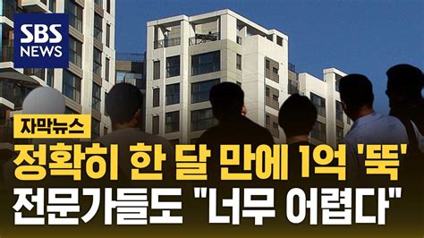 자막뉴스 서울 아파트 한 달 만에 1억 뚝전문가들도 너무 어렵다