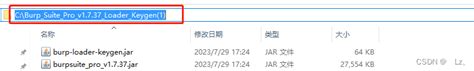 Burp Suite Pro V Burpsuite Pro Csdn