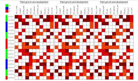 R语言ggplot2怎样画热图添加分组信息的颜色条 大数据 亿速云
