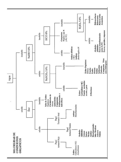 lab pdf