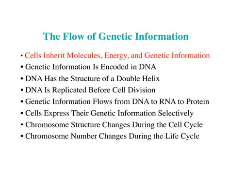 The Flow Of Genetic Information