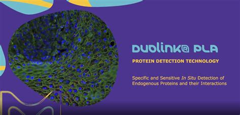 Video Alejandra Krasniewski On Linkedin Duolink® Proximity Ligation