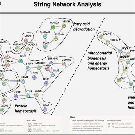 Mitochondrial Dna Quantification Genomic Dna Abundance For Mtnd5 And