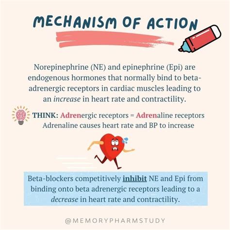 Beta Blockers⁠⠀ Memory Pharm Beta Blockers Adrenergic Receptors