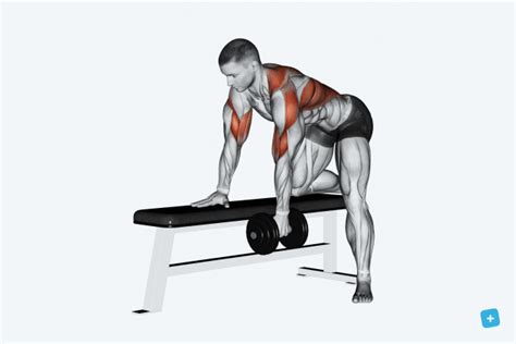 Remada Para Que Serve Tipos E Como Fazer Tua Saúde