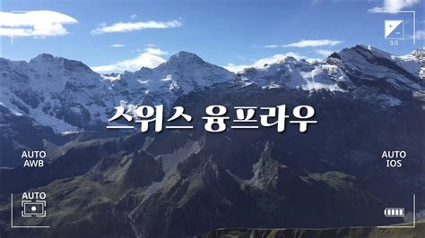 스위스 융프라우 신혼여행 알프스 하드털이 Youtube